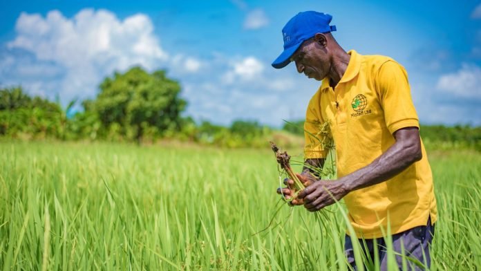 Affaires & Entreprises - Le Ghana teste une nouvelle technologie contre ...